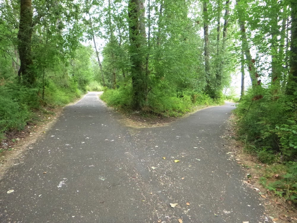 Trail characteristics