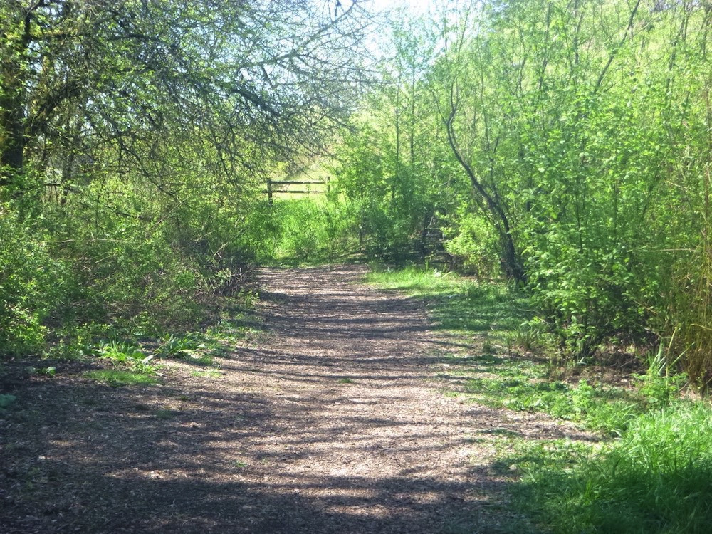 Trail characteristics