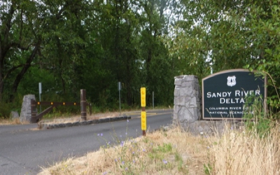 Sandy River Delta