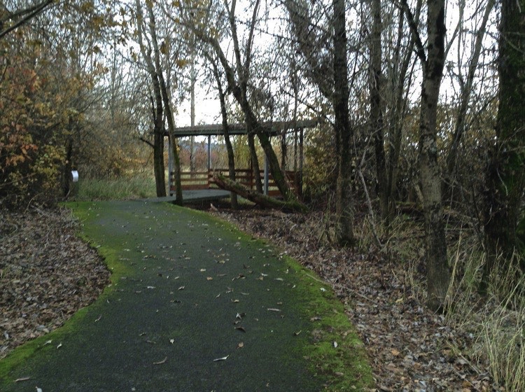 Amenities and Features