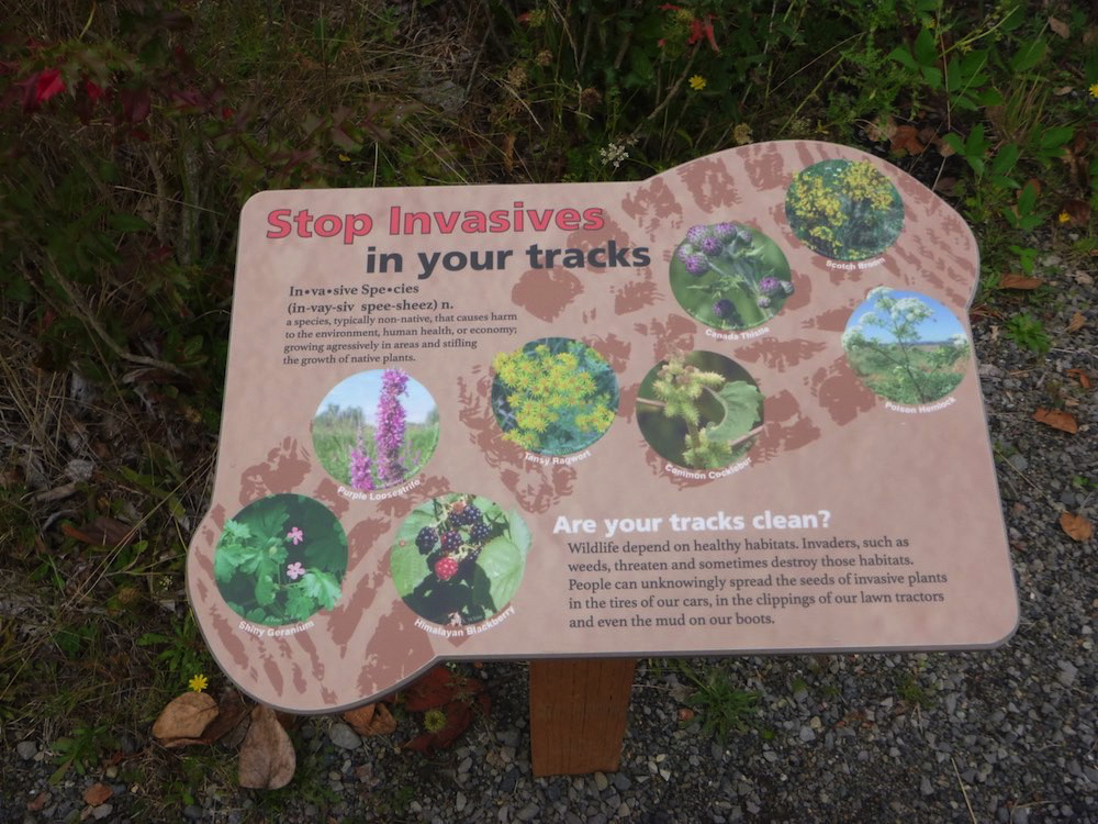 Signage and Wayfinding
